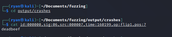Fuzzing avec AFL | AccessDenied